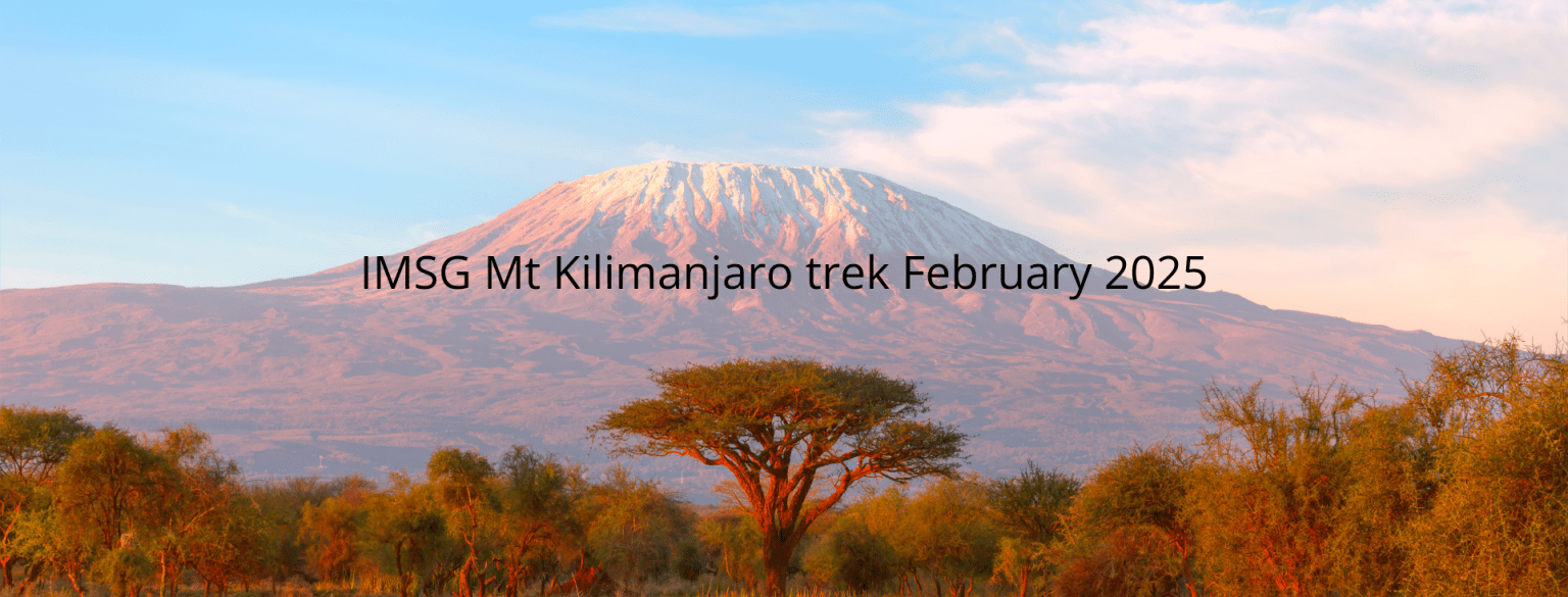 The Intrepid IMSG Team Takes on Kilimanjaro for a Cause! – Ibadan ...
